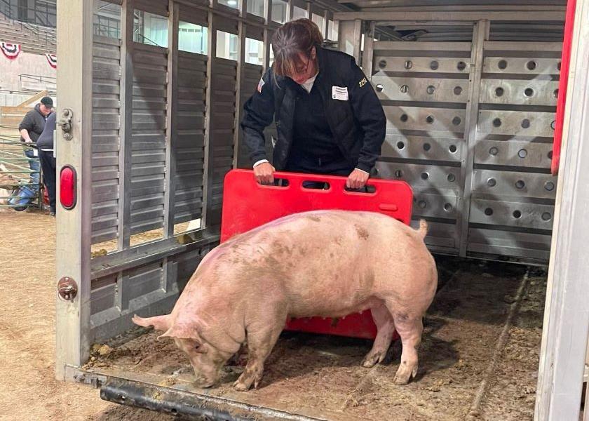 When Accidents Involving Livestock Occur, Michigan Experts Say It's ...