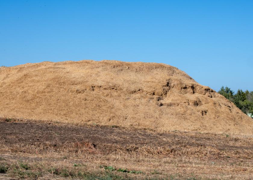 Do You Have Mold and Mycotoxins in Your Silage? | Drovers