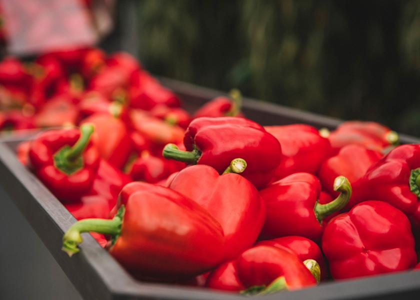 Pure Flavor acquires 25-acre greenhouse bell pepper farm | The Packer