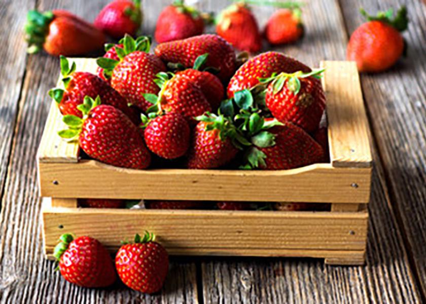 Strawberry consumption grows while imports surge | The Packer
