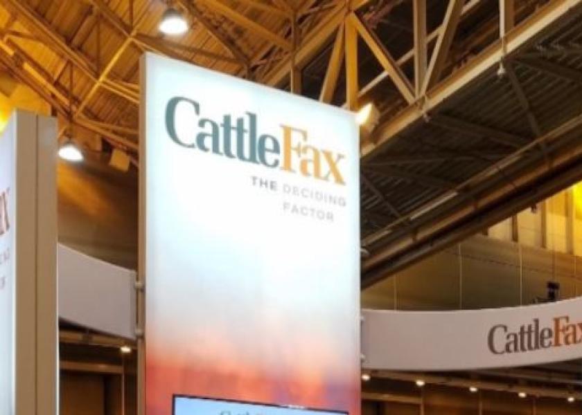 CattleFax Forecasts Producer Profitability in 2023 with Potential ...