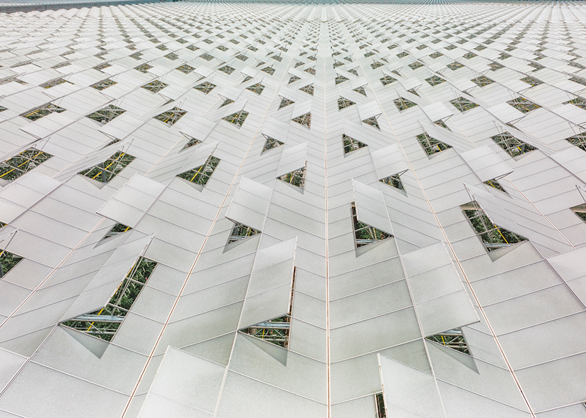 Pure Flavor continues expansion by acquiring Cervini Farms C5 | The Packer