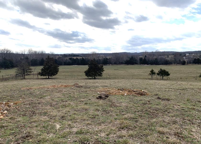 Get Back to the Basics on Post-drought Pastures | Drovers