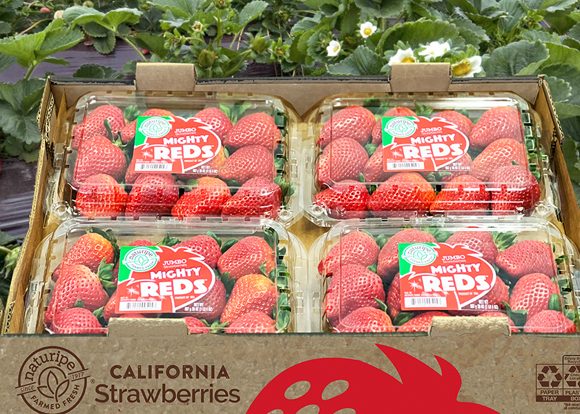 Naturipe Farms offering limited-time Mighty Reds jumbo strawberries ...