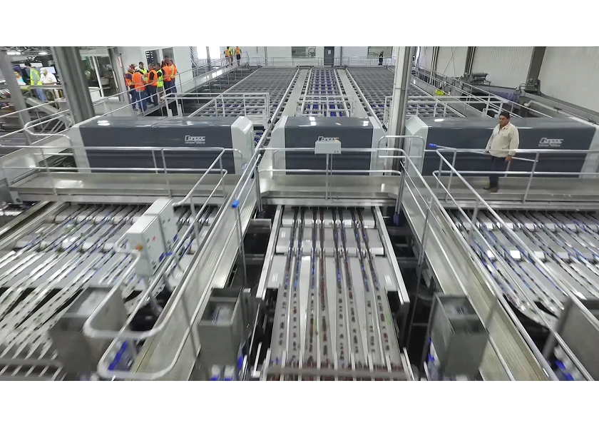 Superfresh Growers to expand cherry production by 30% | The Packer