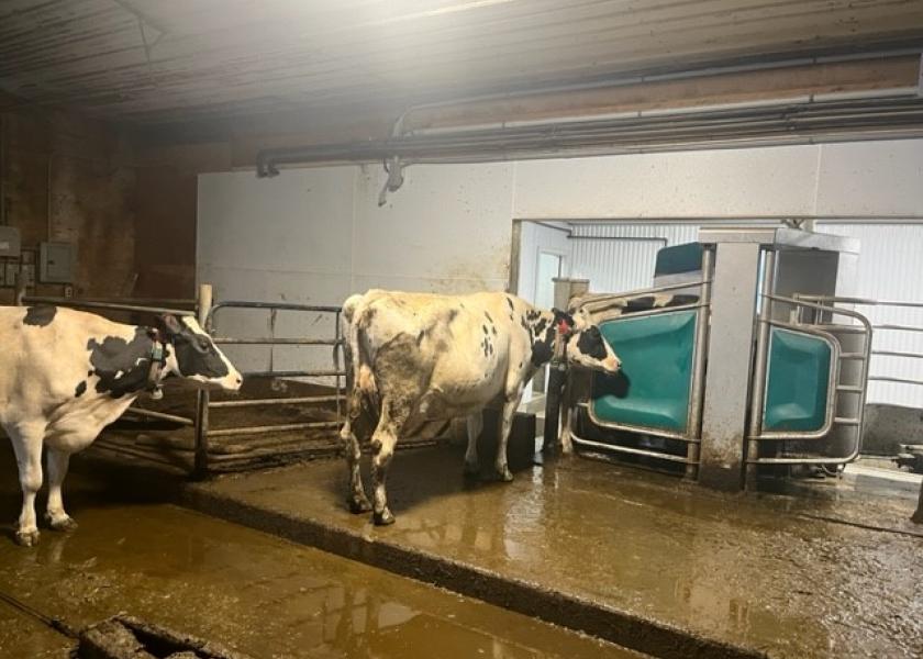 Technology Helps Vermont Family Meet Herd and Family Goals | Dairy Herd