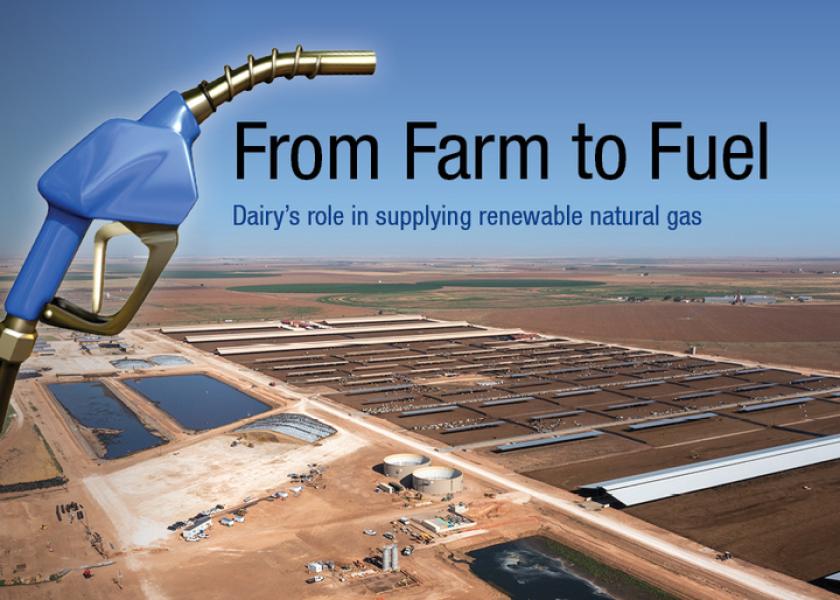 From Farm to Fuel: Dairy's Role in Supplying Renewable Natural Gas ...