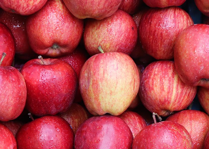 AgroFresh adds 3 post-harvest freshness products for apples | The Packer