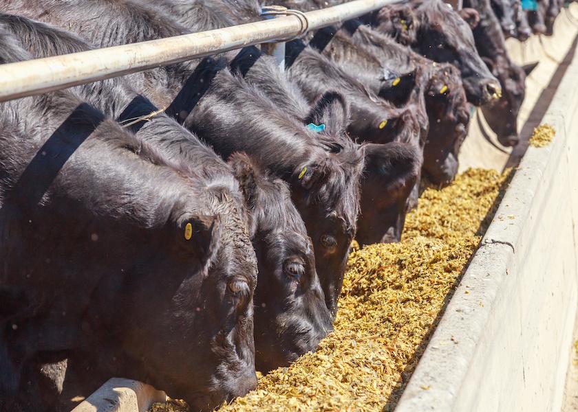 Beef Cross Calves: Just What the Consumer Ordered | Dairy Herd