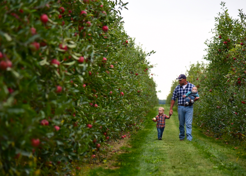 How to autumn: Pick apples with Eastern Produce Council | The Packer