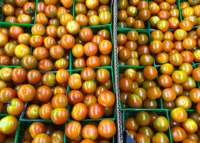 Bostonians strategize about local food | The Packer