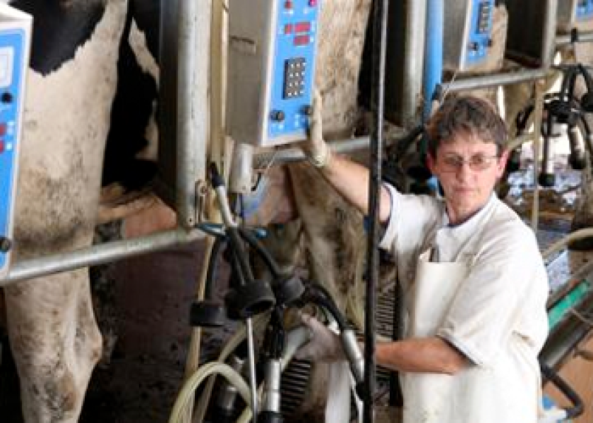 Dressing for the Job on Dairies | Dairy Herd