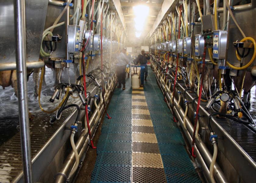 10 Tips for Milking Parlor Safety | Dairy Herd