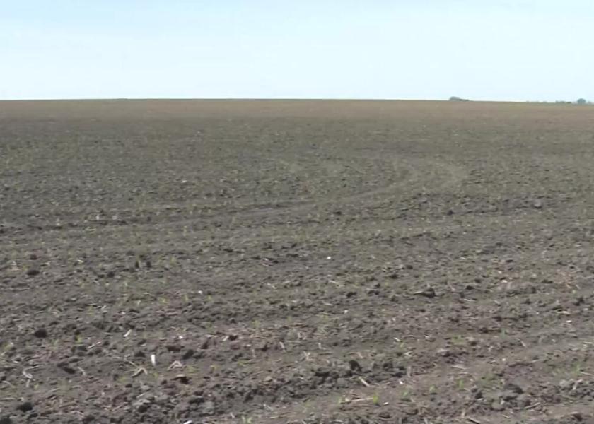 Stand Uniformity a Huge Part of "Winning the Furrow": That Starts with ...