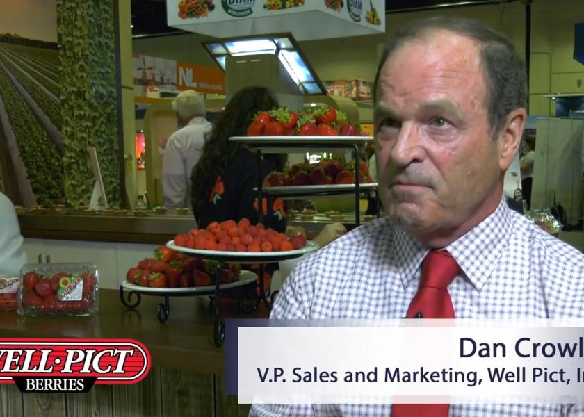 In the spotlight: Well-Pict Berries | The Packer