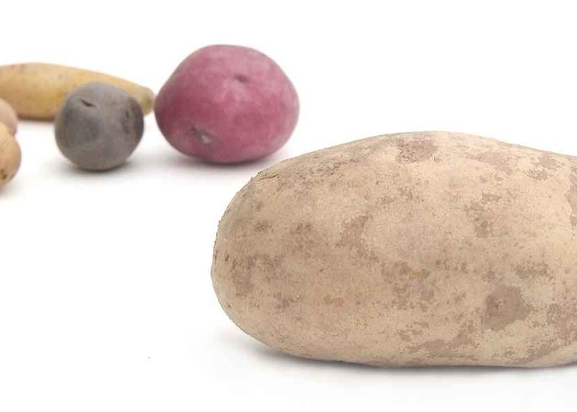 USDA: Potato output down 2% | The Packer